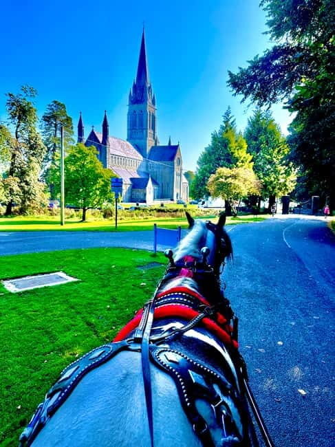 Killarney National Park Tour - What Sets This Tour Apart?