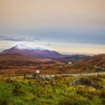 Killarney: Ring of Kerry Bus Tour - Who Would Enjoy This Tour?