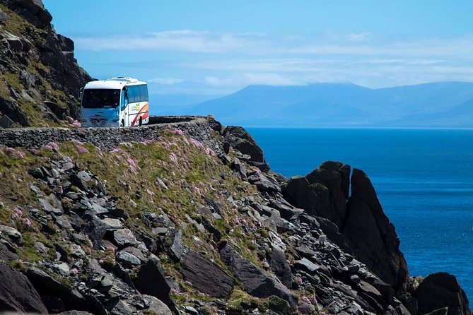 Killarney Super Saver: Dingle and Slea Head Day Trip plus Ring of Kerry and Killarney Lakes Day Trip - Introduction