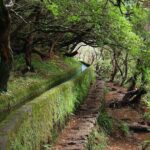Kings Levada - The Itinerary: Step by Step