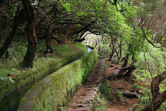 Kings Levada - The Itinerary: Step by Step