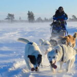 Kiruna: Self-drive Husky Morning Tour - A Warm Finish: Food and Fellowship in a Sami Tent