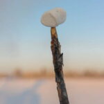 Kiruna: Snowshoe Hike & Ice fishing Tour - What Makes This Tour Special?