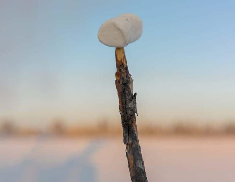 Kiruna: Snowshoe Hike & Ice fishing Tour - What Makes This Tour Special?