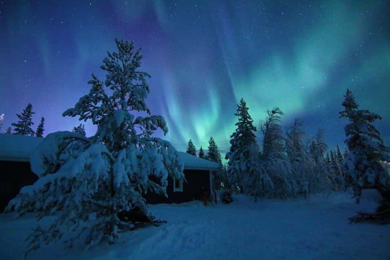 Kiruna: Snowshoe Trek with Aurora Hunt and Warm Beverage - The Value of This Experience