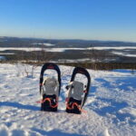 Kiruna: Snowshoe Trek with Warm Beverage and Sandwich - Unique Features: What Sets This Tour Apart