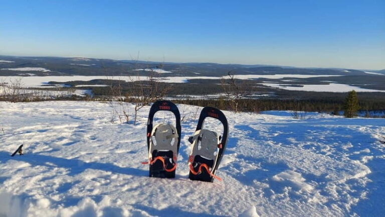 Kiruna: Snowshoe Trek with Warm Beverage and Sandwich - Unique Features: What Sets This Tour Apart
