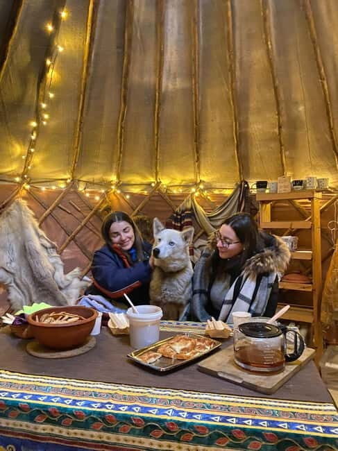 Kittilä / Levi: Husky Farm Guided Tour - The Experience’s Strengths and Weaknesses