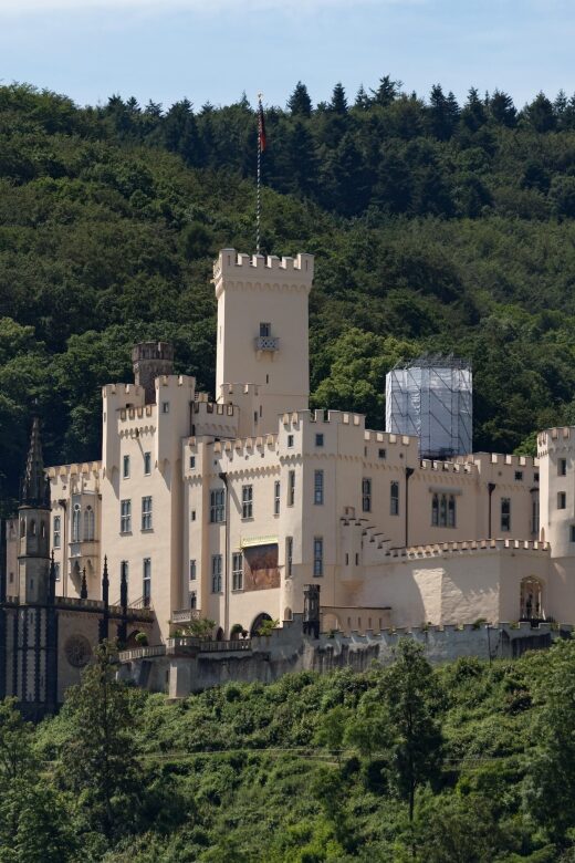 Koblenz: Rhine Valley Castles and Palaces Boat Tour - The Pros & Cons: What to Keep in Mind