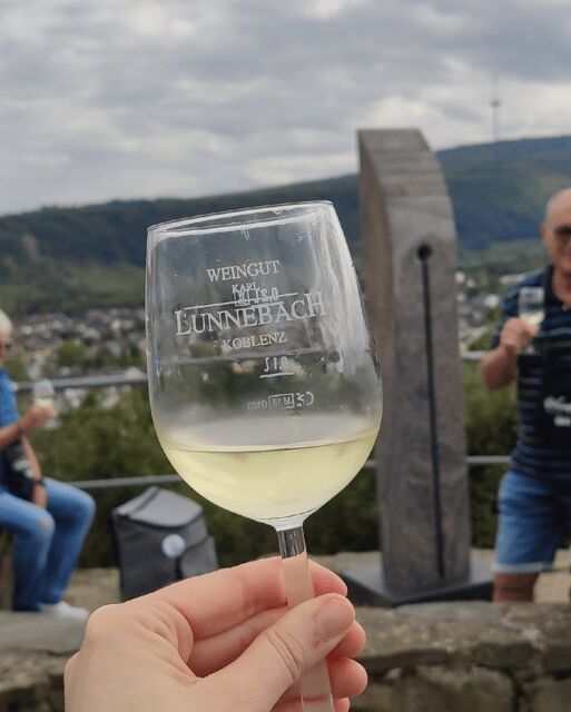 Koblenz: The Living Vineyard, Nature & Wine Enjoyment - Itinerary Breakdown: What to Expect