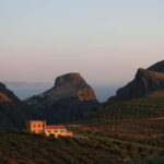 Kolymvari: Biolea Olive Oil Enthusiast Tour - Practical Details and Tips