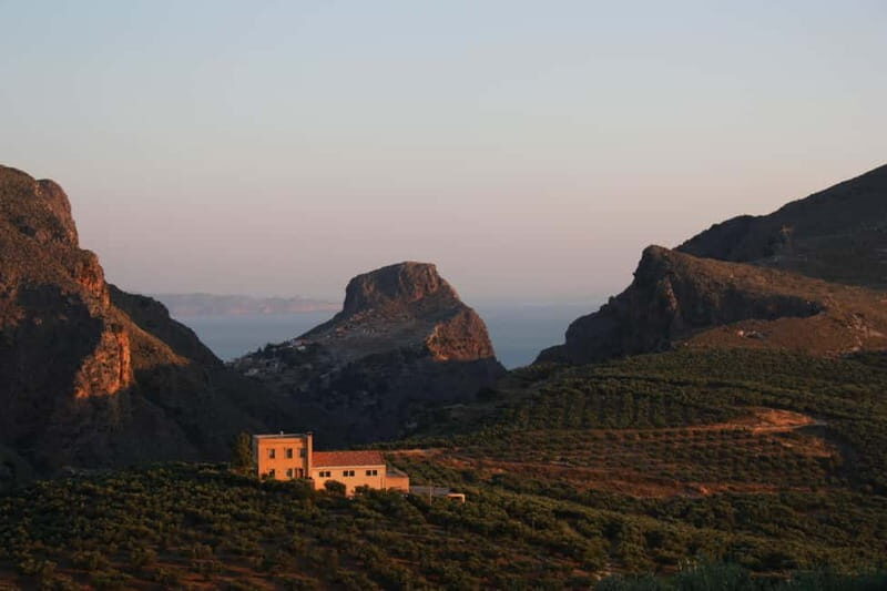 Kolymvari: Biolea Olive Oil Enthusiast Tour - Practical Details and Tips