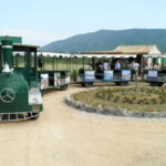 Konavle Valley: Tour with Wine Tasting from Dubrovnik - A Deep Dive into the Experience