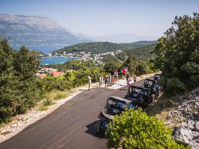 Korcula Buggy Safari With Wine Tasting - Key Points