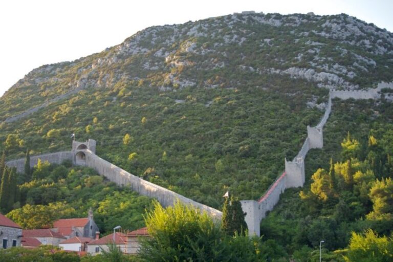 Korula & Ston Full-Day Private Tour from Dubrovnik - Review Insights & Authentic Perspectives