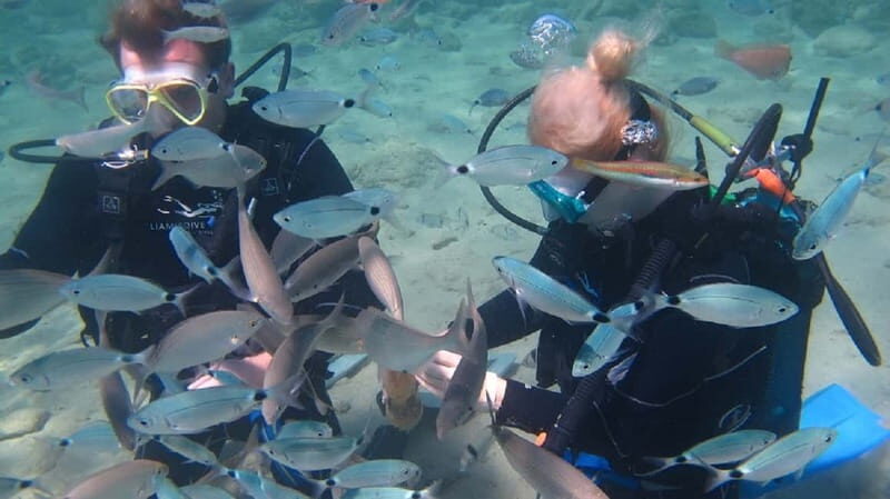 Kos: Beginner Scuba Diving at Pserimos Island - The Itinerary Breakdown