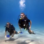 Kos: Beginner Scuba Diving from the Beach with Pickup - The Water Experience