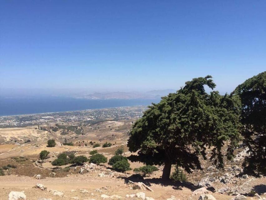 Kos: Full-Day Jeep Safari with Lunch - Guided Stops and Duration