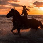 Kos: Horse Riding Experience on the Beach with Instructor - Why This Horse Riding Tour Stands Out