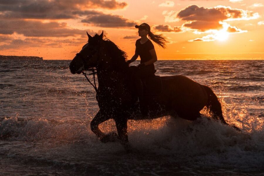 Kos: Horse Riding Experience on the Beach with Instructor - Why This Horse Riding Tour Stands Out