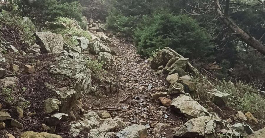 Kos: Moderate Hiking Tour on Dikaios Mountain - The Trail: A Moderate Climb with Scenic Rewards