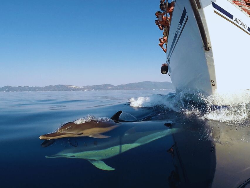 Kos: Small Group Full-Day Sailing with Meal, Drinks, & Swim - Authenticity and Value