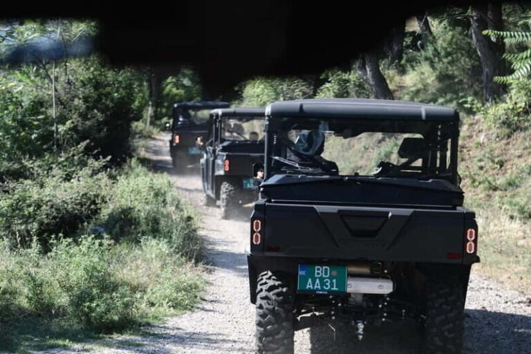 Kotor: Panoramic adventure with off road Buggy - Who Will Love This Tour?