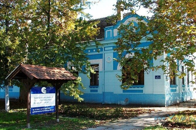 Kovacica Naive Art Experience - Private Half DayTour from Belgrade - Practicalities and Value