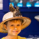 Krakow: 4 Mazes and Living Butterfly Museum Entry Ticket - Practical Details and What to Expect