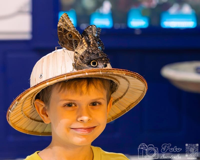 Krakow: 4 Mazes and Living Butterfly Museum Entry Ticket - Practical Details and What to Expect