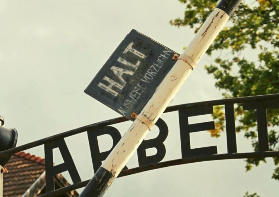 Krakow and Auschwitz Small-Group Tour from Warsaw with Lunch - What Travelers Can Expect