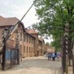 Krakow: Auschwitz and Wieliczka Salt Mine Combo Tour - What Makes This Tour Stand Out?