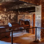 Krakow: Auschwitz-Birkenau Entry Ticket and Transfer - An In-Depth Look at the Auschwitz-Birkenau Tour Experience