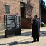 Krakow: Auschwitz-Birkenau Private Guided Tour - Touring Auschwitz I: The Heart of the Camp