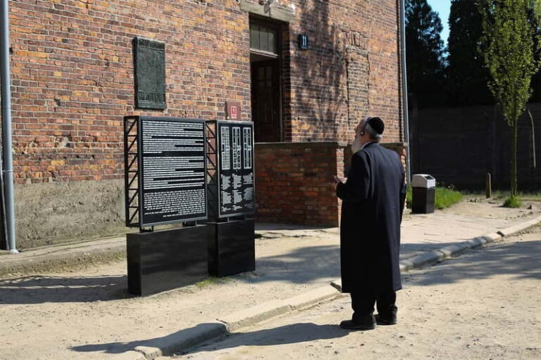 Krakow: Auschwitz-Birkenau Private Guided Tour - Touring Auschwitz I: The Heart of the Camp