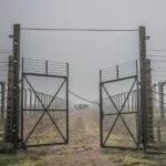 Kraków: Auschwitz-Birkenau & Salt Mine Full-Day Guided Tour - Final Thoughts on the Value