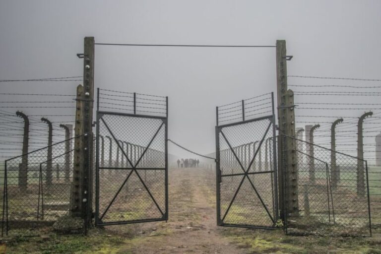 Kraków: Auschwitz-Birkenau & Salt Mine Full-Day Guided Tour - Final Thoughts on the Value