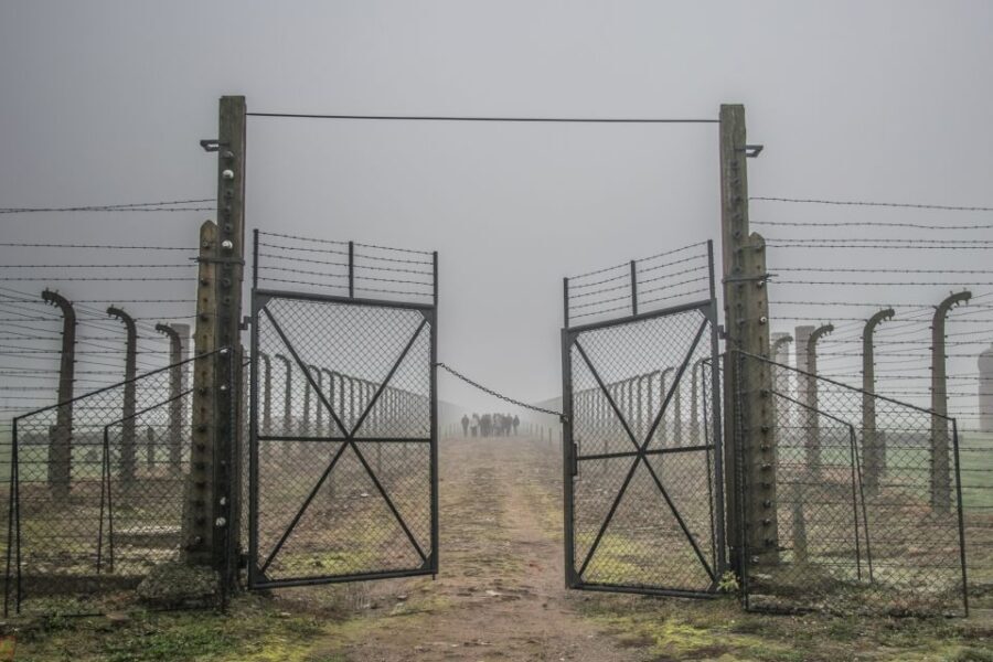 Kraków: Auschwitz-Birkenau & Salt Mine Full-Day Guided Tour - Final Thoughts on the Value