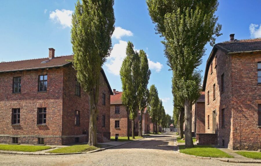 Krakow: Auschwitz Guided Tour with Optional Hotel Pickup - Practicalities and Price