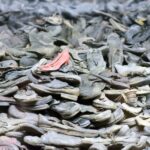 Krakow: Auschwitz Guided Tour with Pickup and Optional Lunch - The Itinerary – Step-by-Step Breakdown