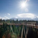 Krakow: Slovakia Treetop Walk & Zakopane Tour (Hotel Pickup) - Who Will Appreciate This Tour?