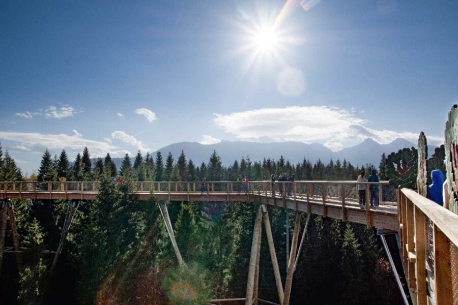 Krakow: Slovakia Treetop Walk & Zakopane Tour (Hotel Pickup) - Who Will Appreciate This Tour?