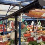 Krakow: Traditional Street Food Walking Tour - Authenticity and Value