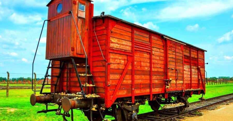 Krakow: Wieliczka Salt Mine and Auschwitz-Birkenau Tour - Who Should Consider This Tour?