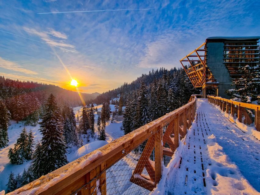 Krakow: Zakopane, Thermal Baths and Gorce Park Treetop Walk - What is Included and What to Expect