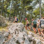 Krk Island: Ziplining Tour - What to Expect During the Tour