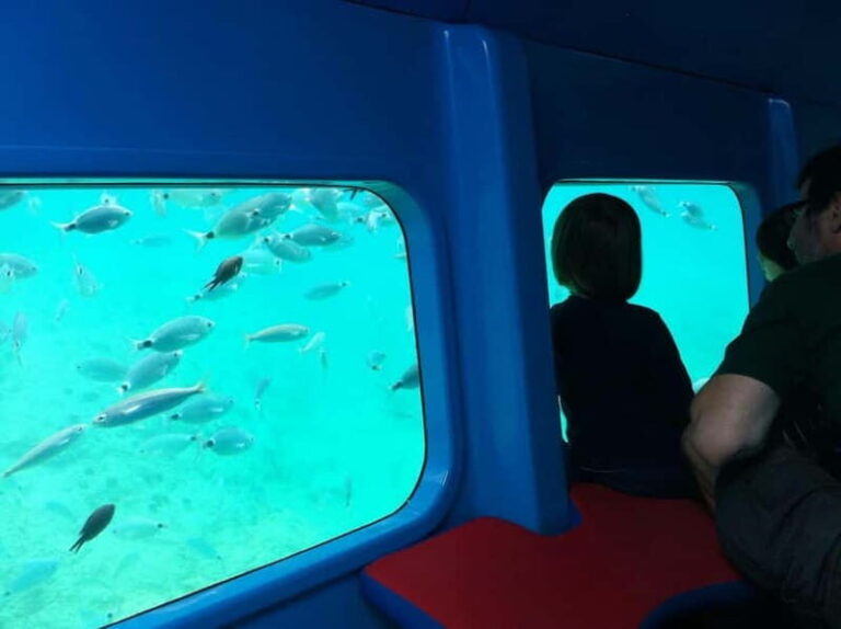 Krk: Underwater Semi-Submarine Adventure - The Underwater World at Your Fingertips