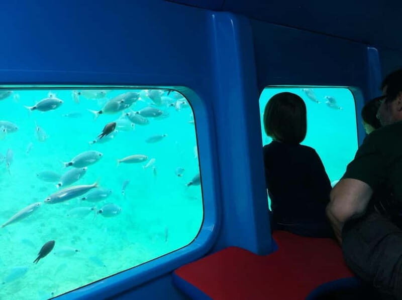 Krk: Underwater Semi-Submarine Adventure - The Underwater World at Your Fingertips