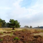 Kröller-Müller Museum and National Park Tour - The Experience Provider: Trigger Tours