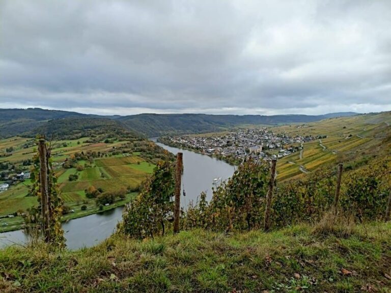 Kröv, Mosel: PLANWAGENFAHRT through the vineyards with wine tasting - Authenticity and Testimonials